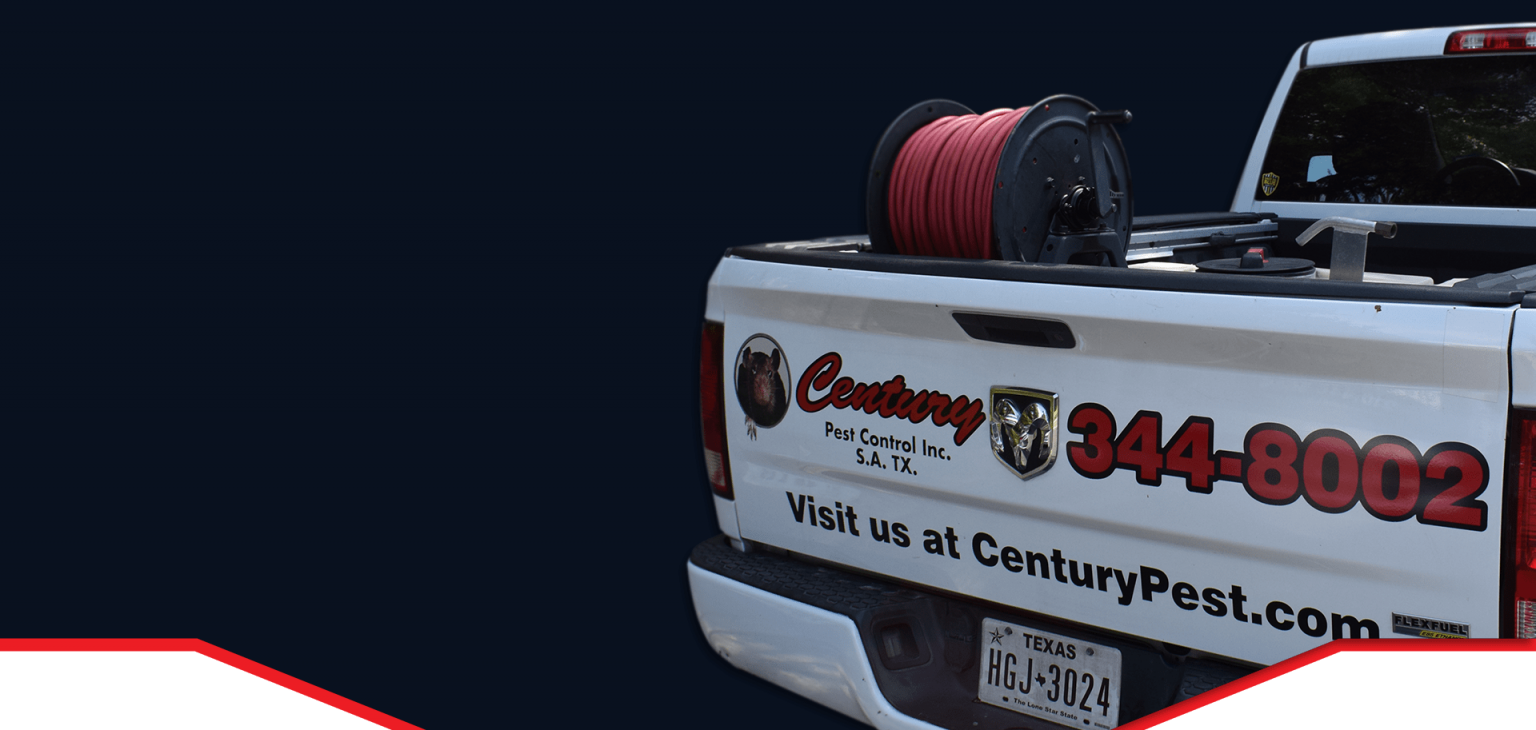 Picture Gallery - Century Pest